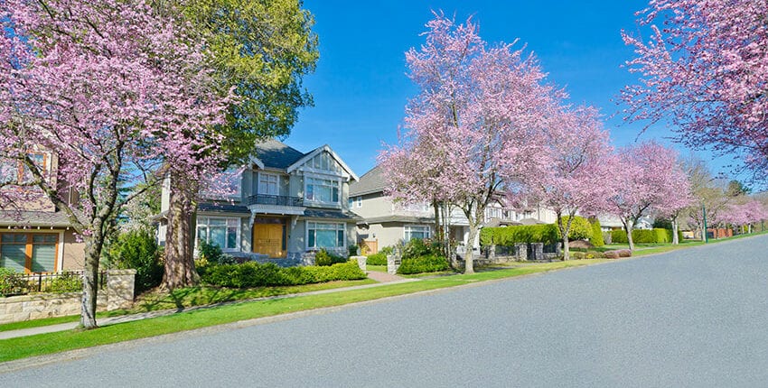 Your Springtime Home Maintenance Checklist | Chad Love Services